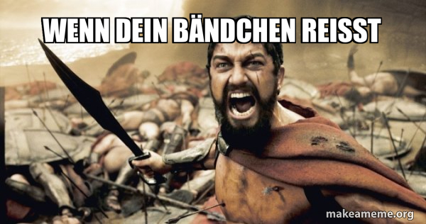 Wenn dein Bändchen reisst - The 300 Meme Generator