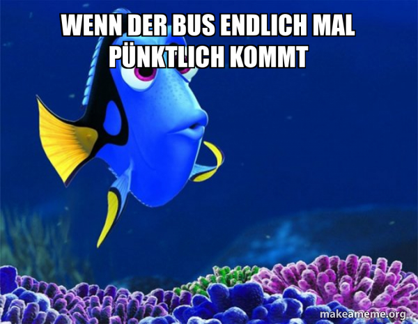 Wenn der Bus endlich mal pünktlich kommt - Dory from Nemo (5 second ...
