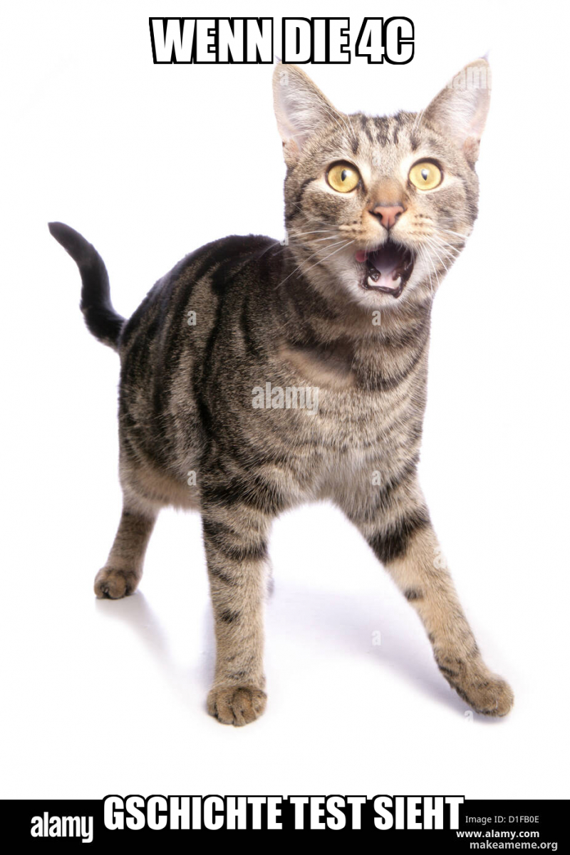 Wenn Die 4C Gschichte Test sieht Meme Generator