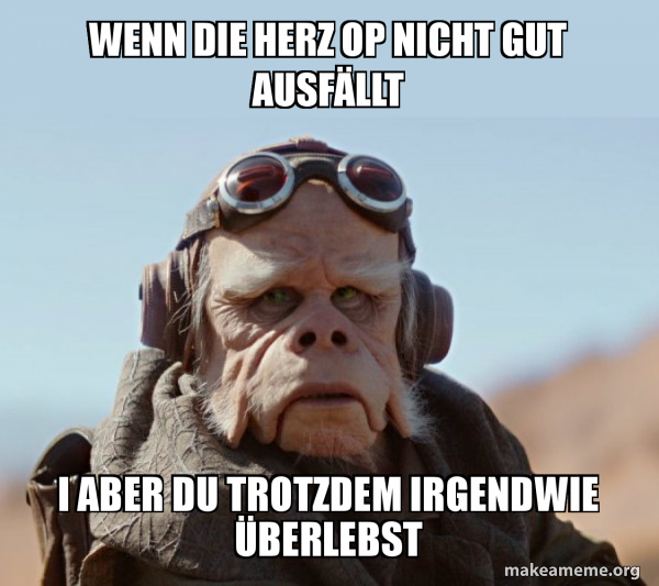 Herz Memes