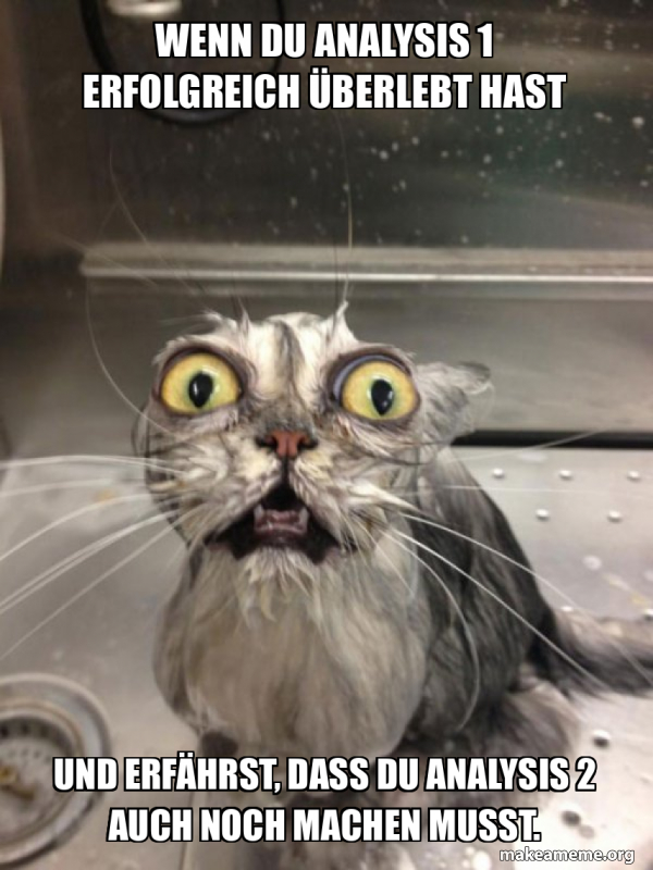 Wenn du Analysis 1 erfolgreich überlebt hast und erfährst, dass du ...