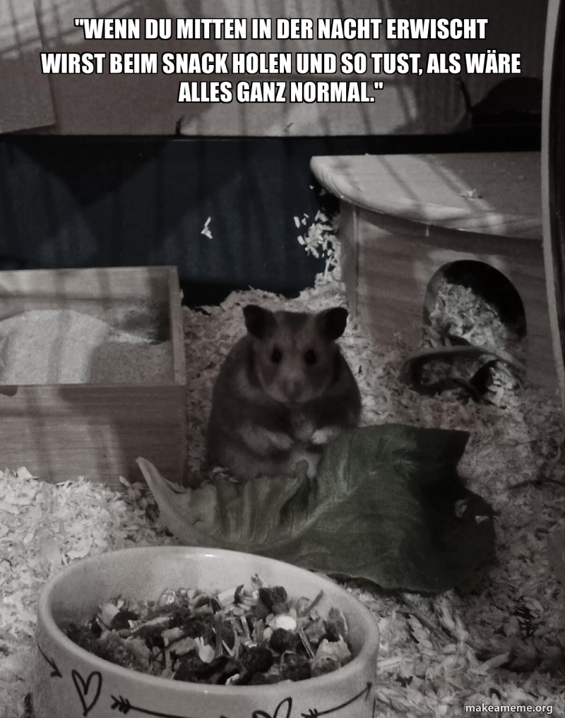 "Wenn du mitten in der Nacht erwischt wirst beim snack holen und so ...