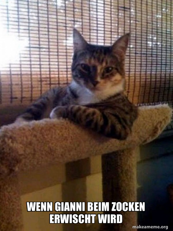 Wenn Gianni beim Zocken erwischt wird - The Most Interesting Cat in the ...