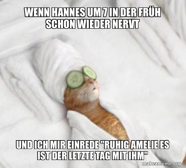 wenn hannes um 7 in der früh schon wieder nervt und ich mir einrede ...