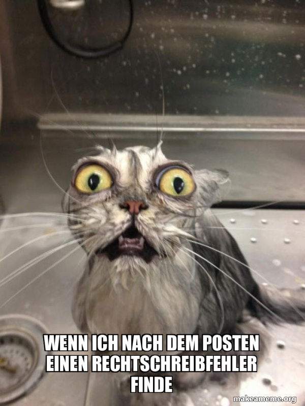 Wenn ich nach dem Posten einen Rechtschreibfehler finde - Cat bath Meme ...