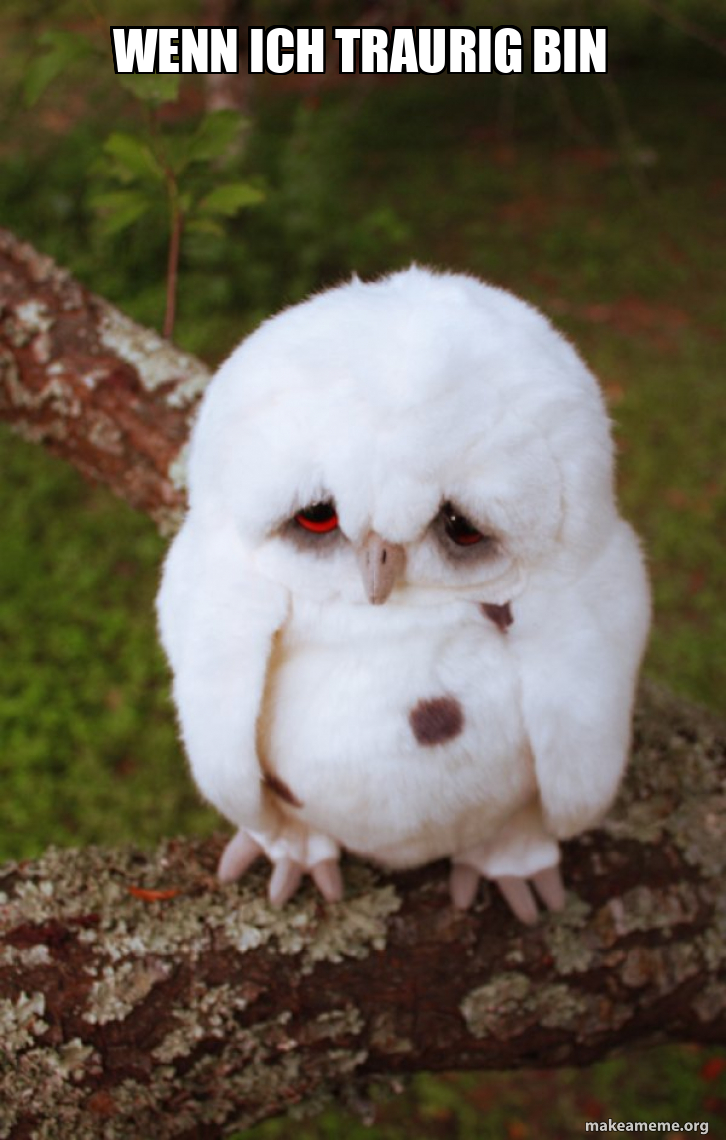Wenn ich traurig bin - Sad Owl Meme Generator