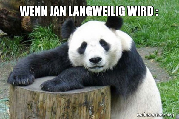 Wenn Jan langweilig wird : - Confession Panda Meme Generator