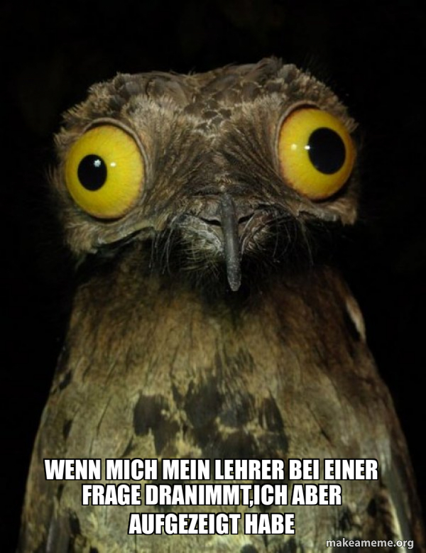 Wenn mich mein lehrer bei einer frage dranimmt,ich aber aufgezeigt habe ...