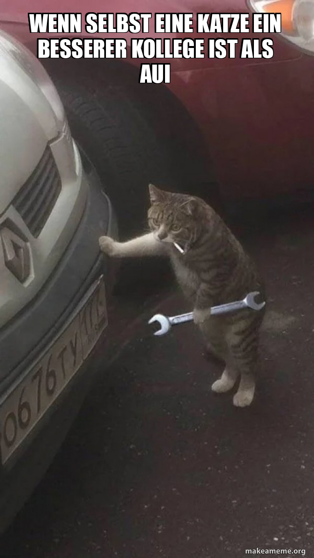 wenn selbst eine Katze ein besserer Kollege ist als Aui - Mechanic Cat ...