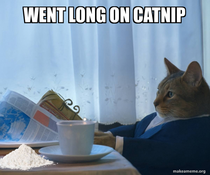 went long on catnip Meme Generator