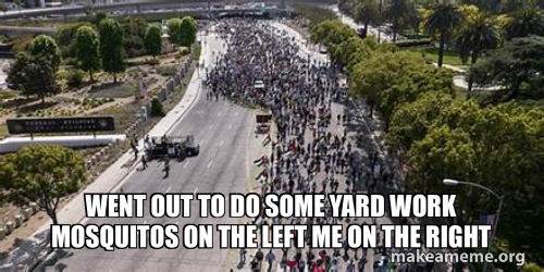 went out to do some yard work mosquitos on the left me on the right ...