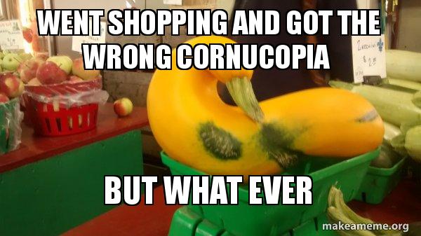 went shopping and got the wrong cornucopia But what ever - Gourd Advice ...