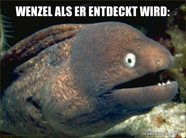 Wenzel als er entdeckt wird: - Bad Joke Eel Meme Generator