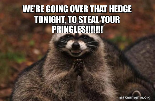 We're going Over That Hedge Tonight, to steal your PRINGLES ...