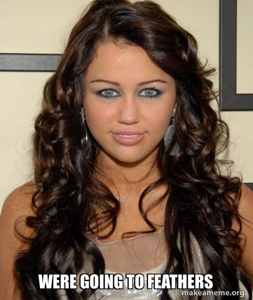 Were going to feathers Meme Generator