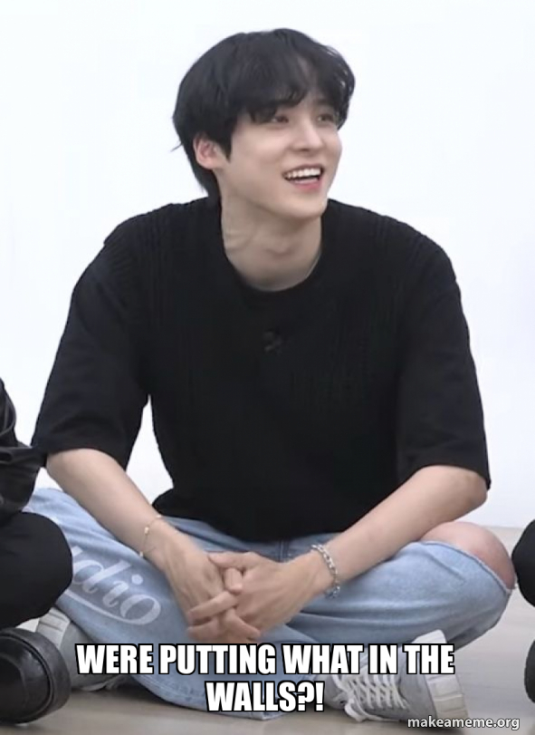 Were putting what In the walls?! Meme Generator