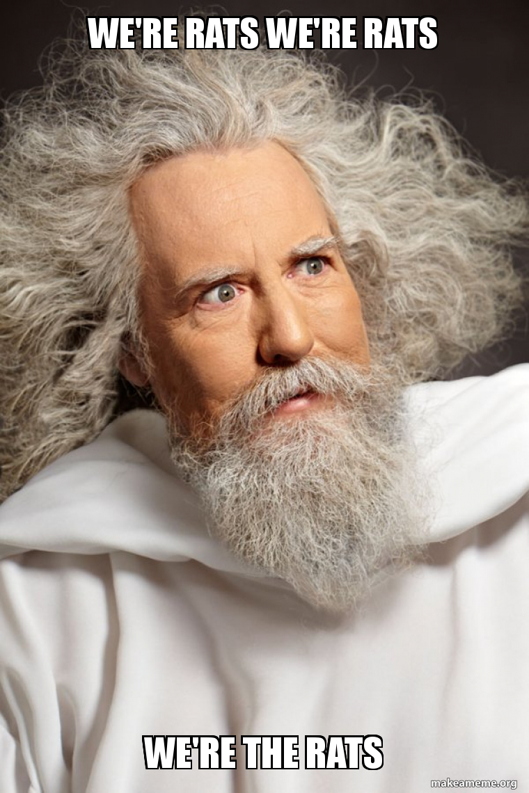 WE'RE RATS WE'RE RATS WE'RE THE RATS - Tweet of God Meme Generator