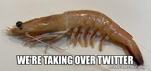 We're taking over twitter Meme Generator