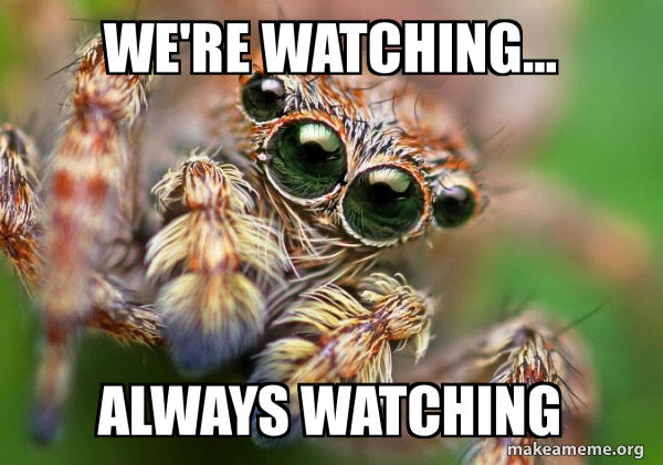 We're watching... always watching - Hipster Spider Meme Generator