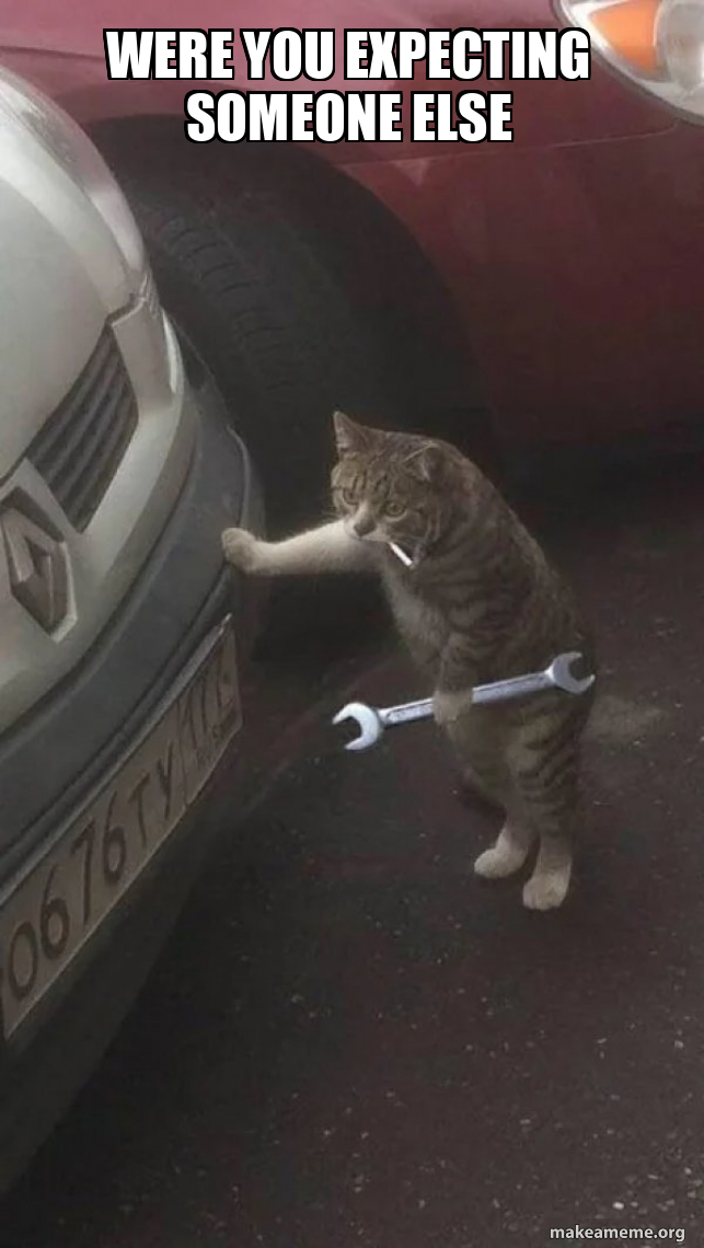 Were you expecting someone else - Mechanic Cat Meme Generator