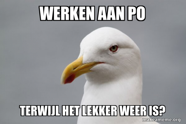 Werken aan PO terwijl het lekker weer is? - Stuff That Didn't Happen ...