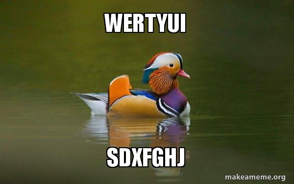 wertyui sdxfghj - Fashionable Advice Mallard Meme Generator