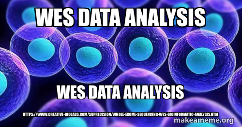 WES data analysis WES data analysis https://www.creative-biolabs.com ...