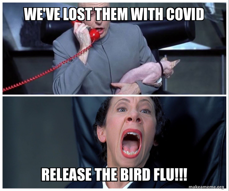 WE've lost them with covid release the bird flu!!! Meme Generator
