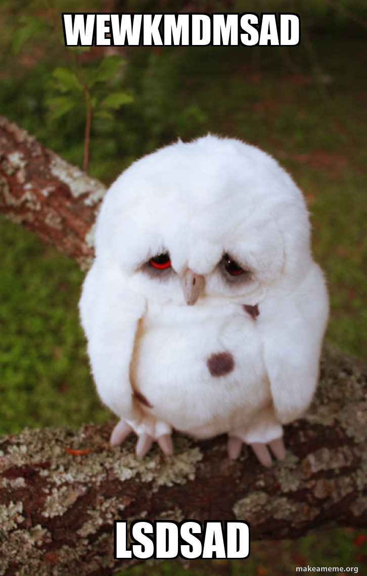 wewkmdmsad lsdsad - Sad Owl Meme Generator
