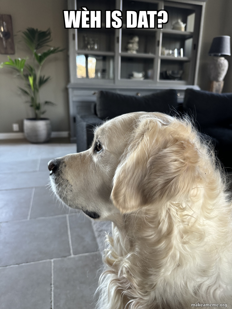 Wèh is dat? Meme Generator