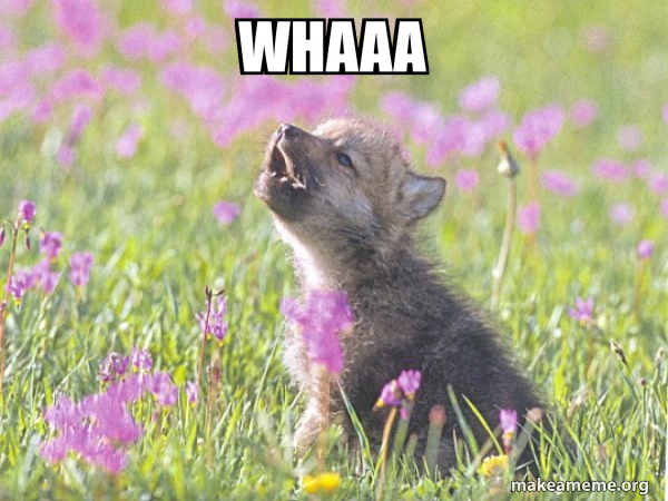 whaaa - Baby Insanity Wolf Meme Generator