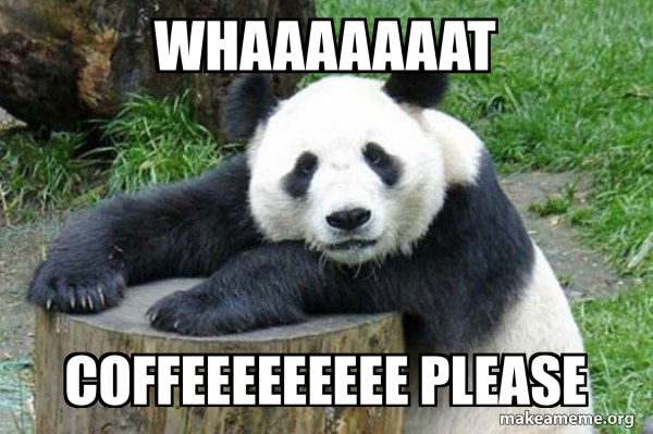 WHAAAAAAAT Coffeeeeeeeee please - Confession Panda Meme Generator