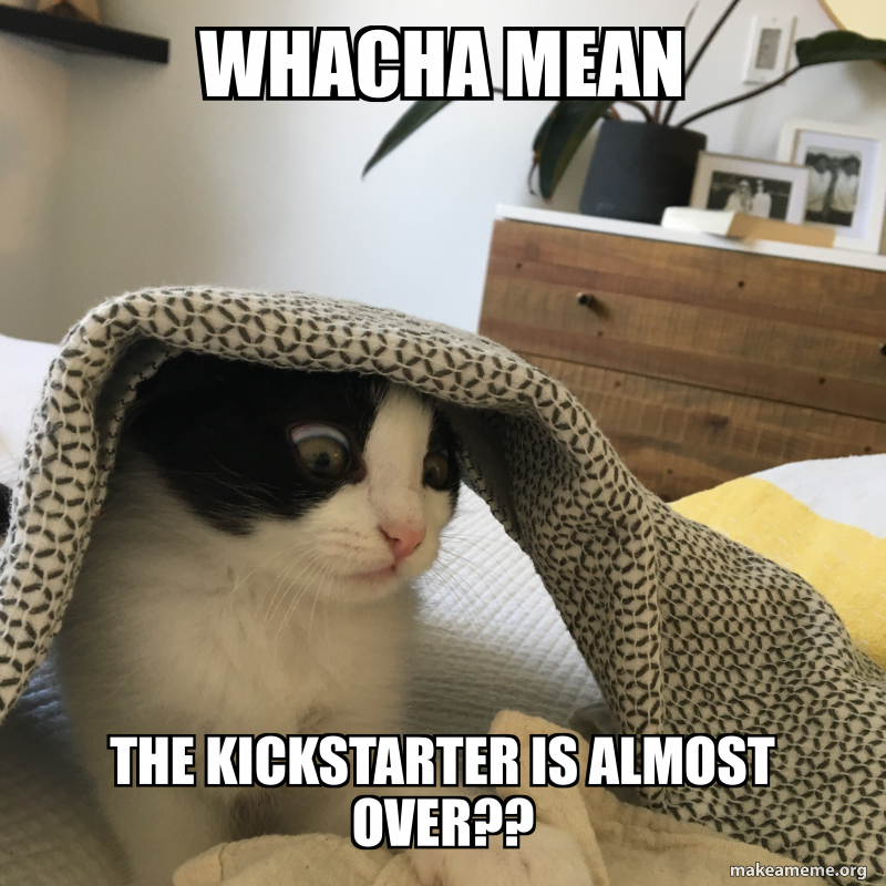 Whacha mean the kickstarter is almost over?? Meme Generator