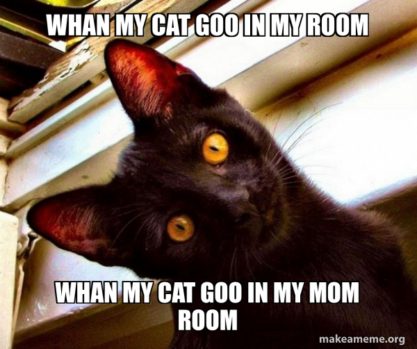 whan my cat goo in my room whan my cat goo in my mom room - Overly ...