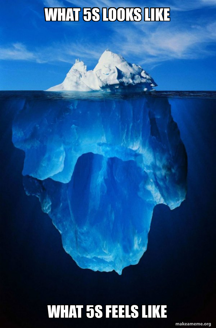 What 5S looks like What 5S feels like - Iceberg Meme Generator