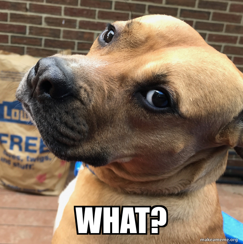 What? Meme Generator