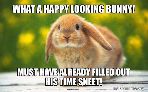 What a happy looking bunny! Must have already filled out his time sneet ...