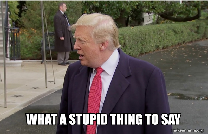 What a stupid thing to say Meme Generator