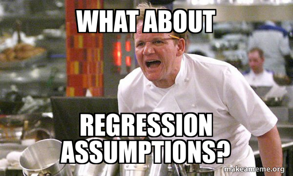 What about regression assumptions? - Gordon Ramsay Hell's Kitchen Meme ...