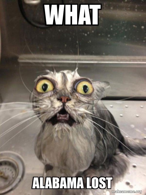 What Alabama lost - Cat bath Meme Generator