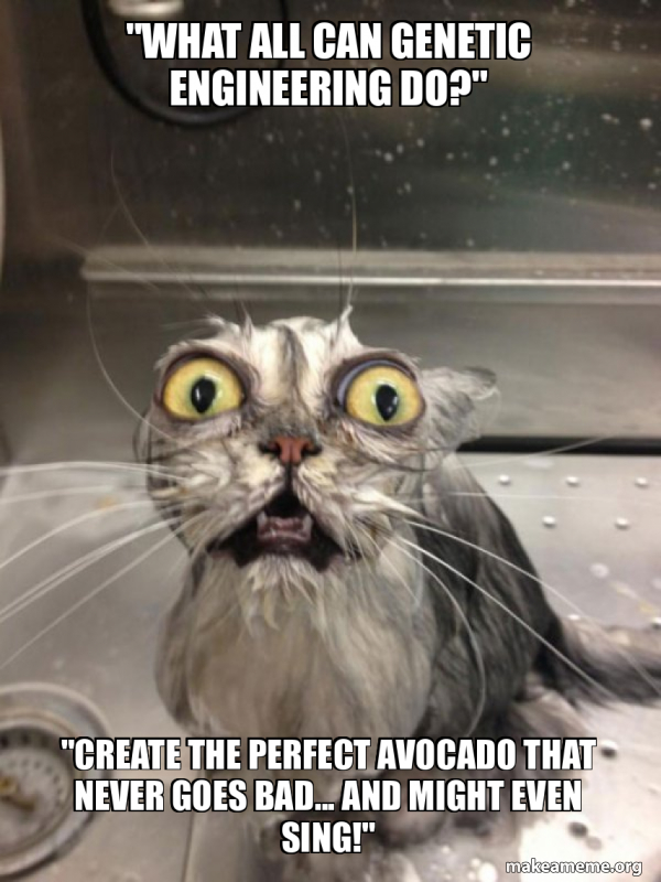"What all can Genetic Engineering do?" "Create the perfect avocado that ...