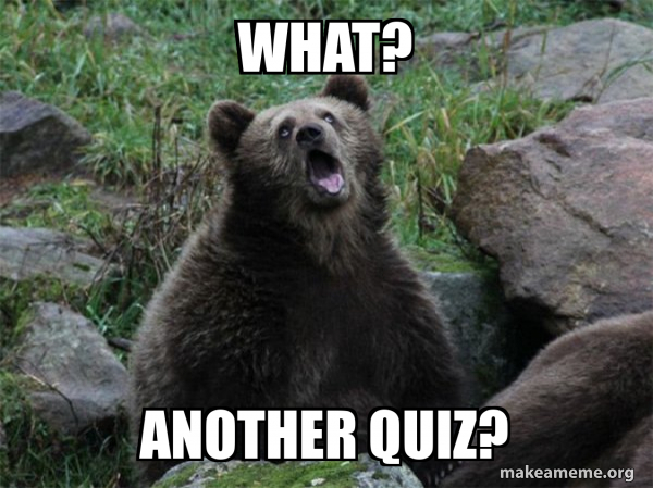 what? another quiz? - Sarcastic Bear Meme Generator