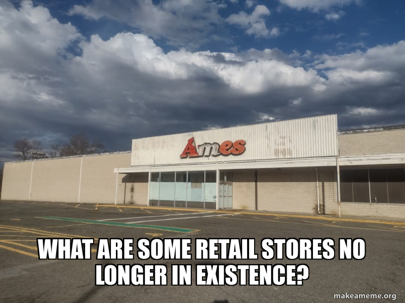 What are some retail stores no longer in existence? Meme Generator