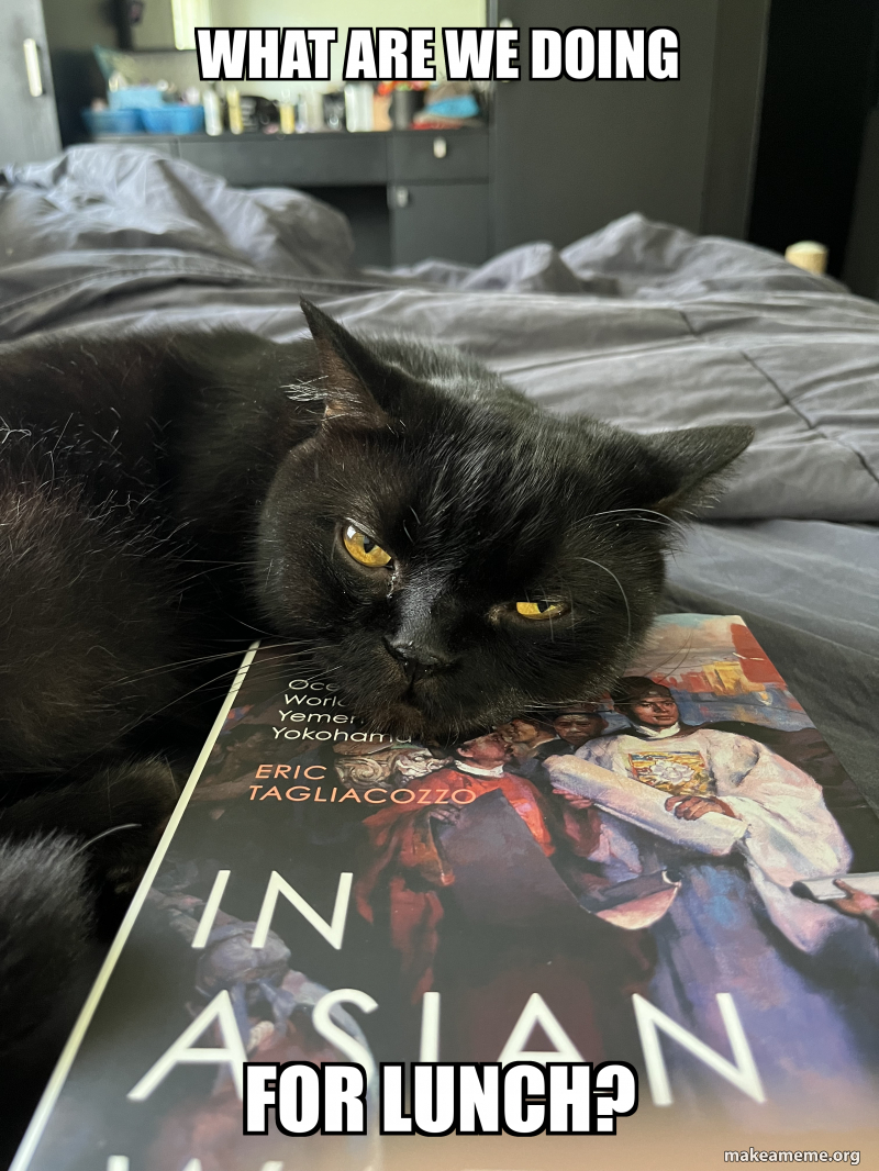 What are we doing For lunch? Meme Generator