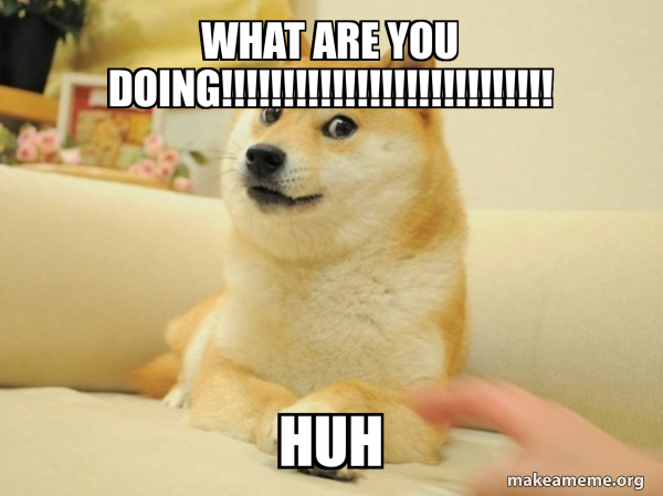 what are you doing!!!!!!!!!!!!!!!!!!!!!!!!!!! huh - Doge Meme Generator