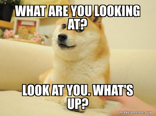 What are you looking at? Look at you. What's up? - Doge Meme Generator