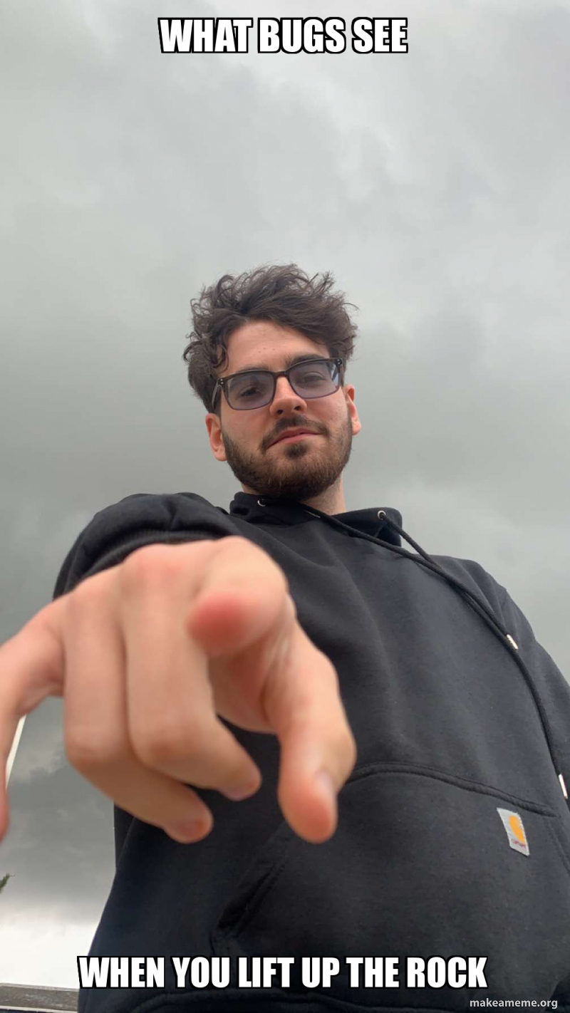 What bugs see When you lift up the rock Meme Generator