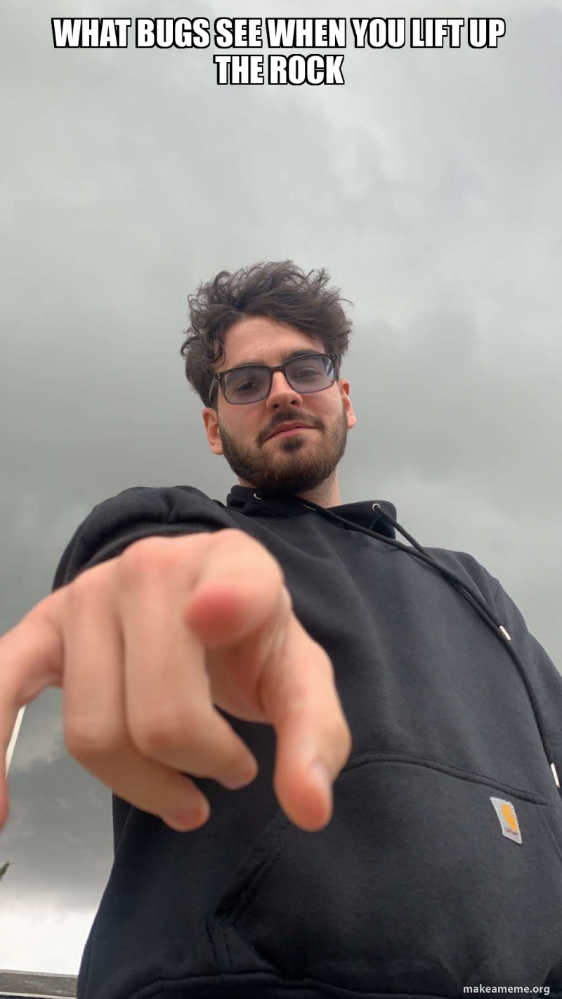 What bugs see when you lift up the rock Meme Generator