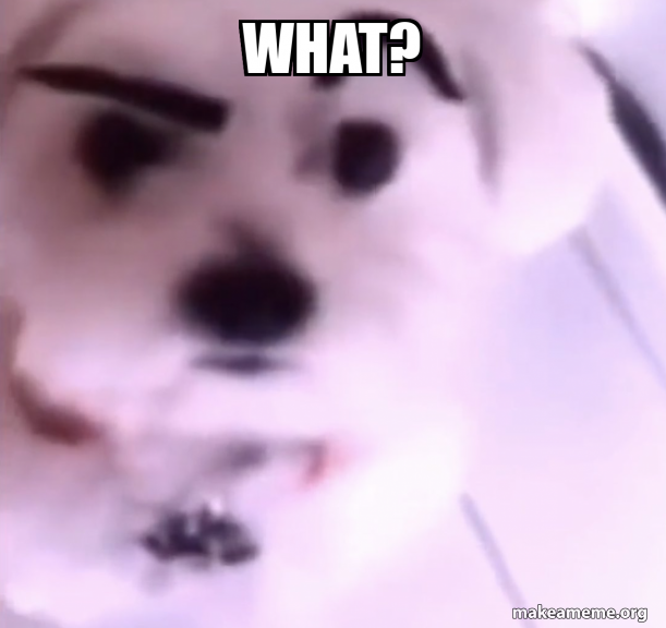 what? Meme Generator