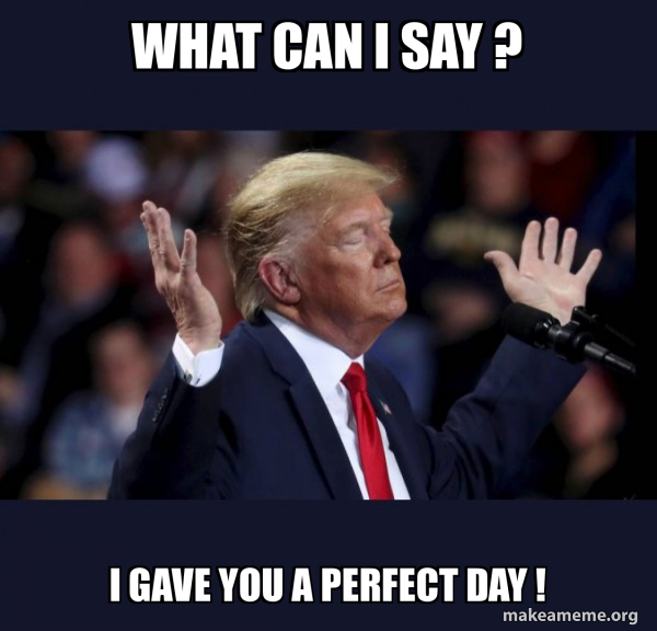 What can I say ? I gave you a perfect day ! - Trump Impeached Meme ...